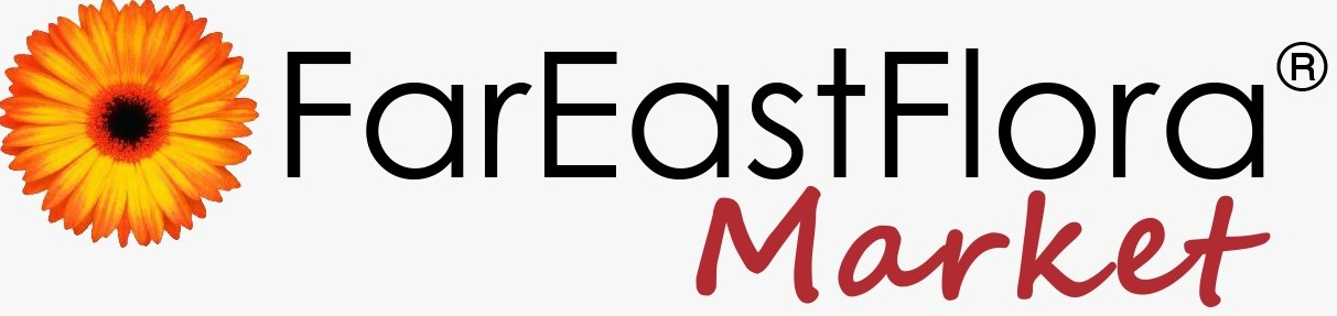 Issue 10, Jan 2023 - Chong Fong Engineering | Far East Flora Market | UOB-SMU Asian Enterprise ...